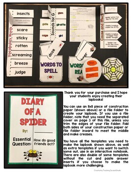 Diary of a Spider Second Grade Journeys - Teaching Ideas Made Easy