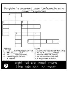 Flip Book with Homophones - Teaching Ideas Made Easy