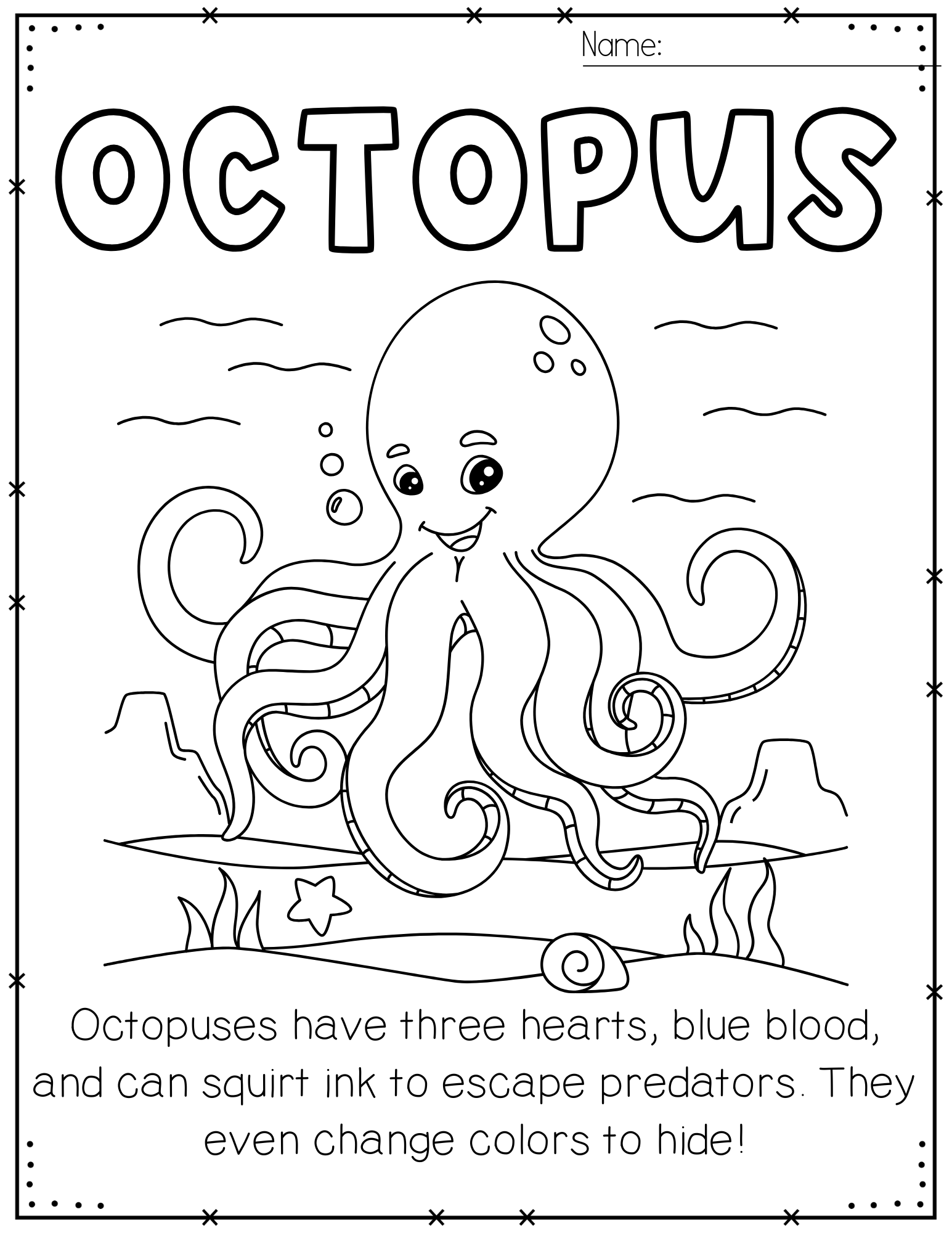 Ocean Animals Coloring Booklet with Fun Facts – 11 Pages - Teaching ...