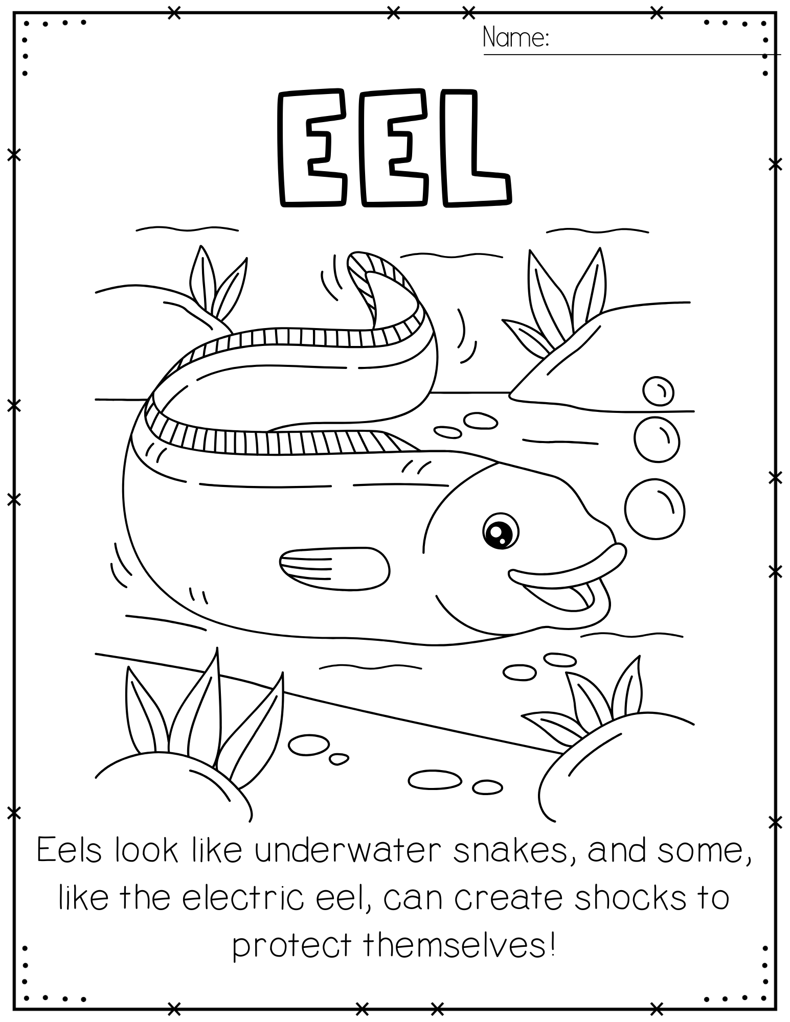 Ocean Animals Coloring Booklet with Fun Facts – 11 Pages - Teaching ...