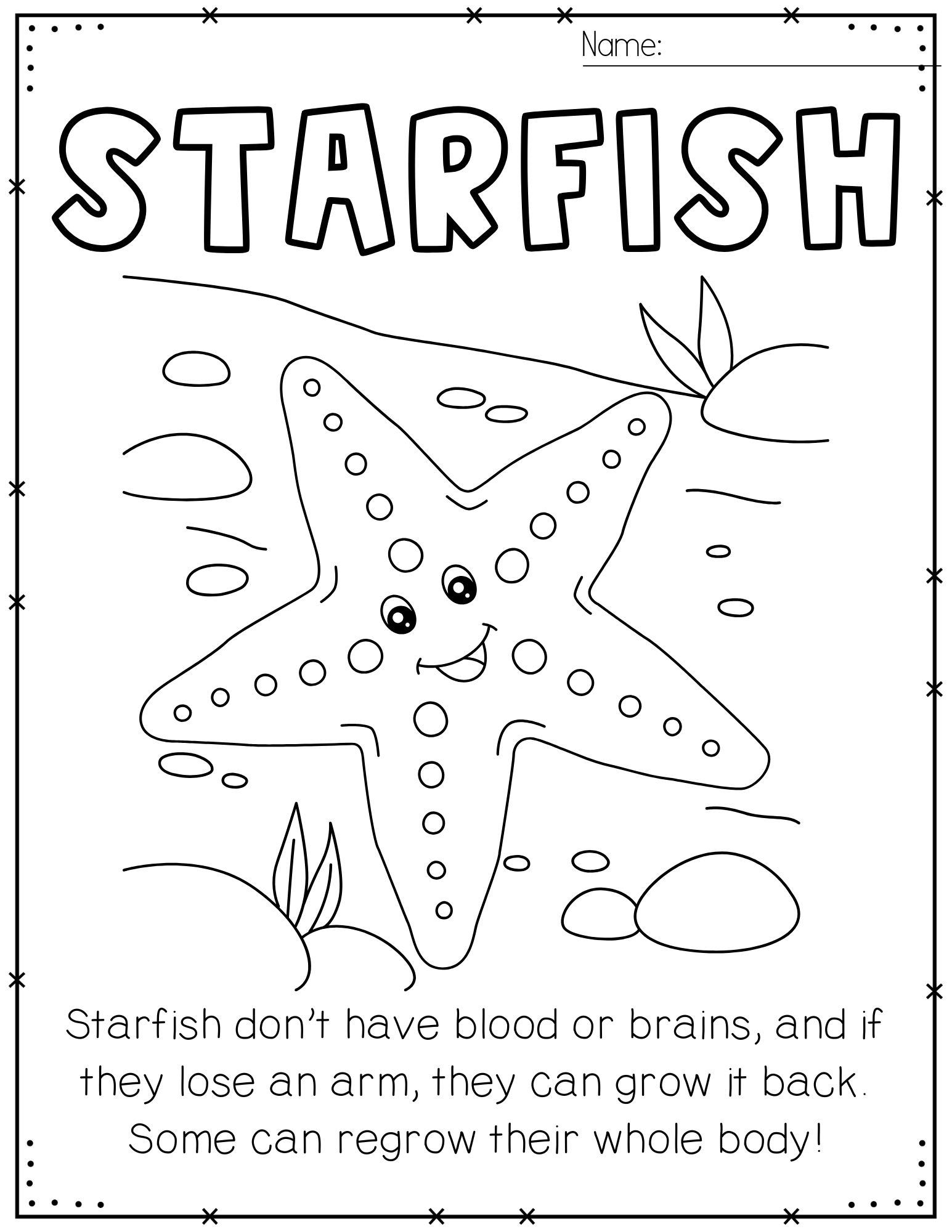 Ocean Animals Coloring Booklet with Fun Facts – 11 Pages - Teaching ...