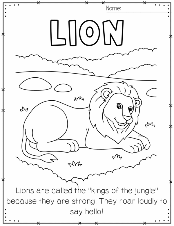 Zoo Animal Coloring Booklet for Kids – Fun Facts & 10 Engaging Zoo ...