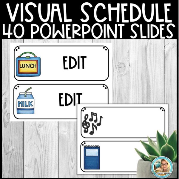 Classroom Daily Visual Schedule EDITABLE Template Cards - Teaching ...