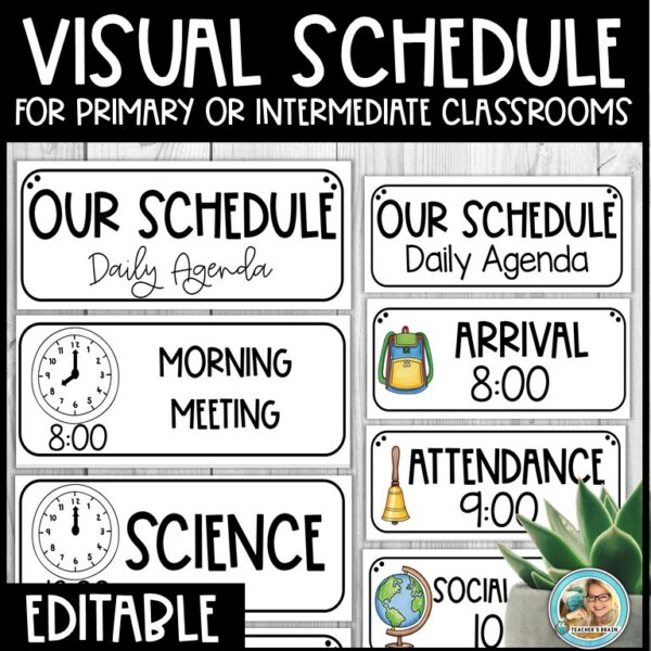 Classroom Daily Visual Schedule EDITABLE Template Cards - Teaching ...