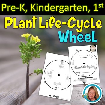 Life Cycle of Plants Craft Activity - Wheel - Craftivity - Teaching ...