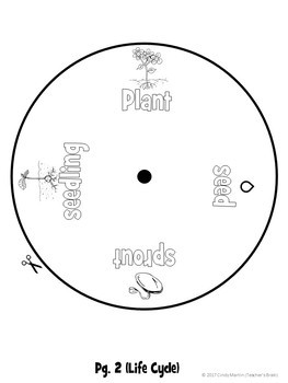 Life Cycle of Plants Craft Activity - Wheel - Craftivity - Teaching ...