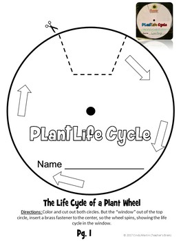 Life Cycle of Plants Craft Activity - Wheel - Craftivity - Teaching ...