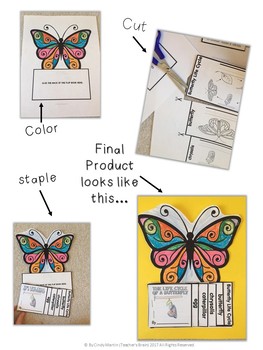 Butterfly Life Cycle Flip Book - Teaching Ideas Made Easy