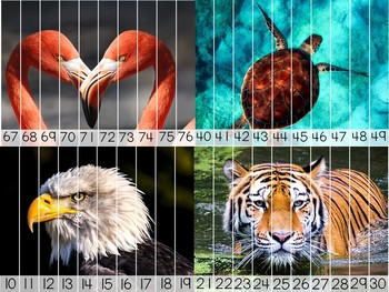Number Ordering Picture | Picture Puzzles - Teaching Ideas Made Easy