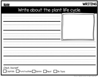 Life Cycle of a Plant Craft | FLOWER HAT | Writing Prompts - Teaching ...