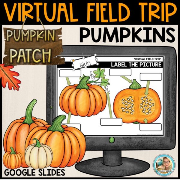 Pumpkin Patch Virtual Field Trip | Writing | Google Slides - Teaching ...