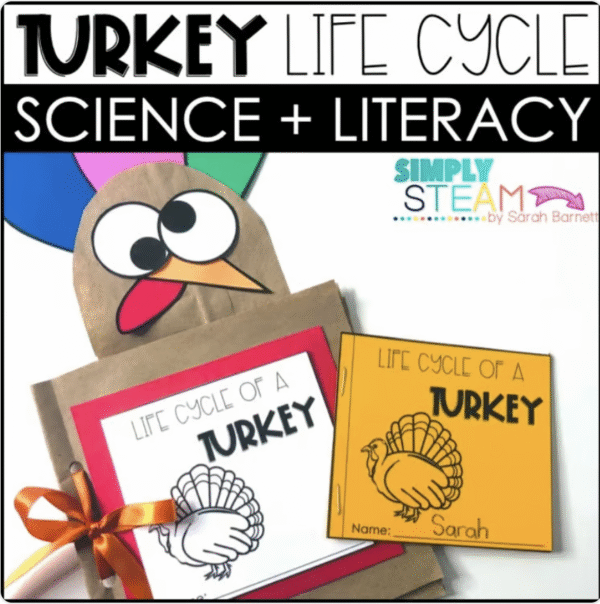 Turkey Life Cycle Activities Thanksgiving Science and Literacy ...