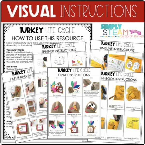 Turkey Life Cycle Activities Thanksgiving Science and Literacy ...