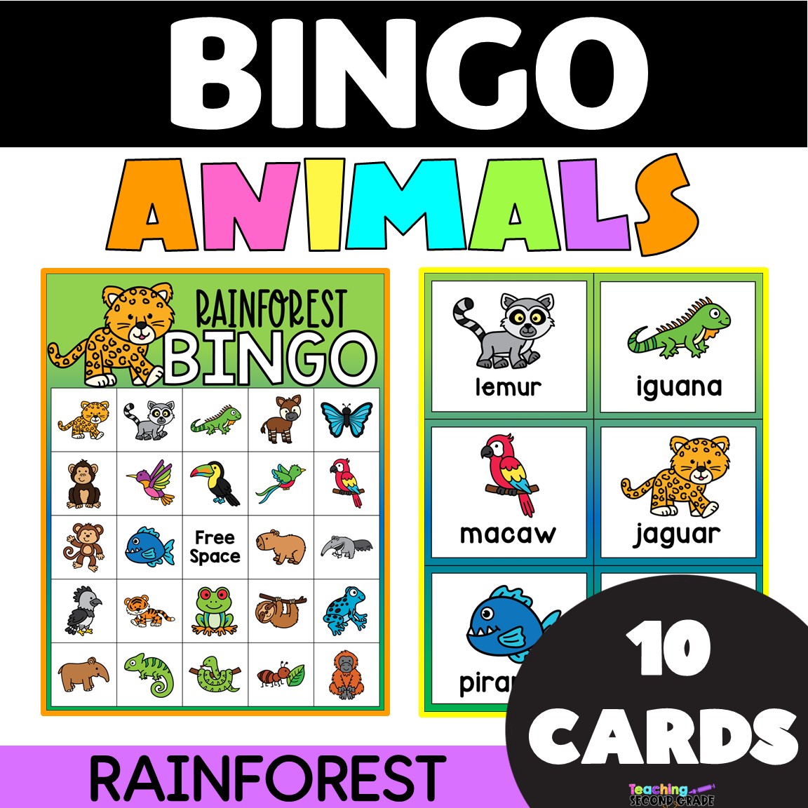 Rainforest Animal Bingo Game Science Vocabulary Activity