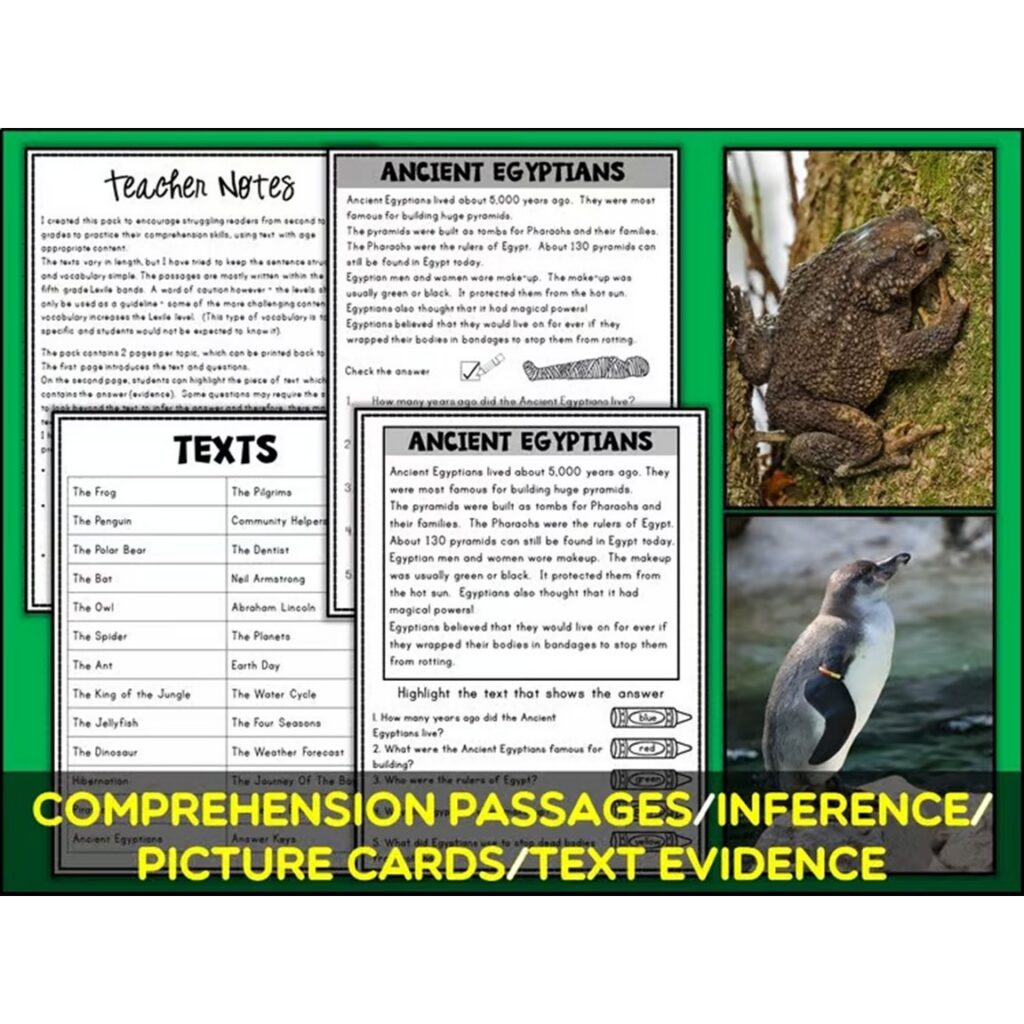 Nonfiction Reading Comprehension Passages 2nd 3rd Grade