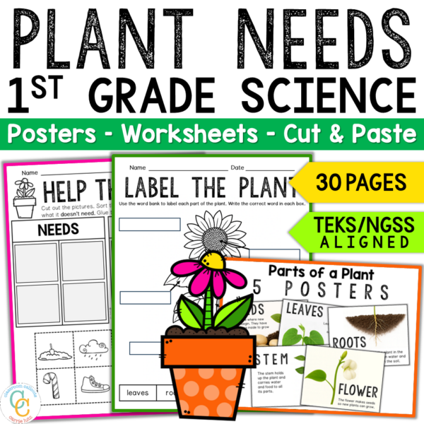 1st Grade Plant Needs No Prep Worksheets - Teaching Ideas Made Easy