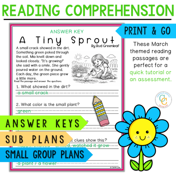 March Reading Comprehension 1st 2nd Grade | Spring Passages - Teaching ...