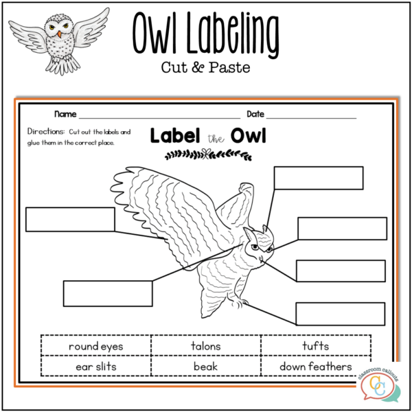 Owl Nonfiction Writing Unit 1st Grade Text Features Main Idea ...