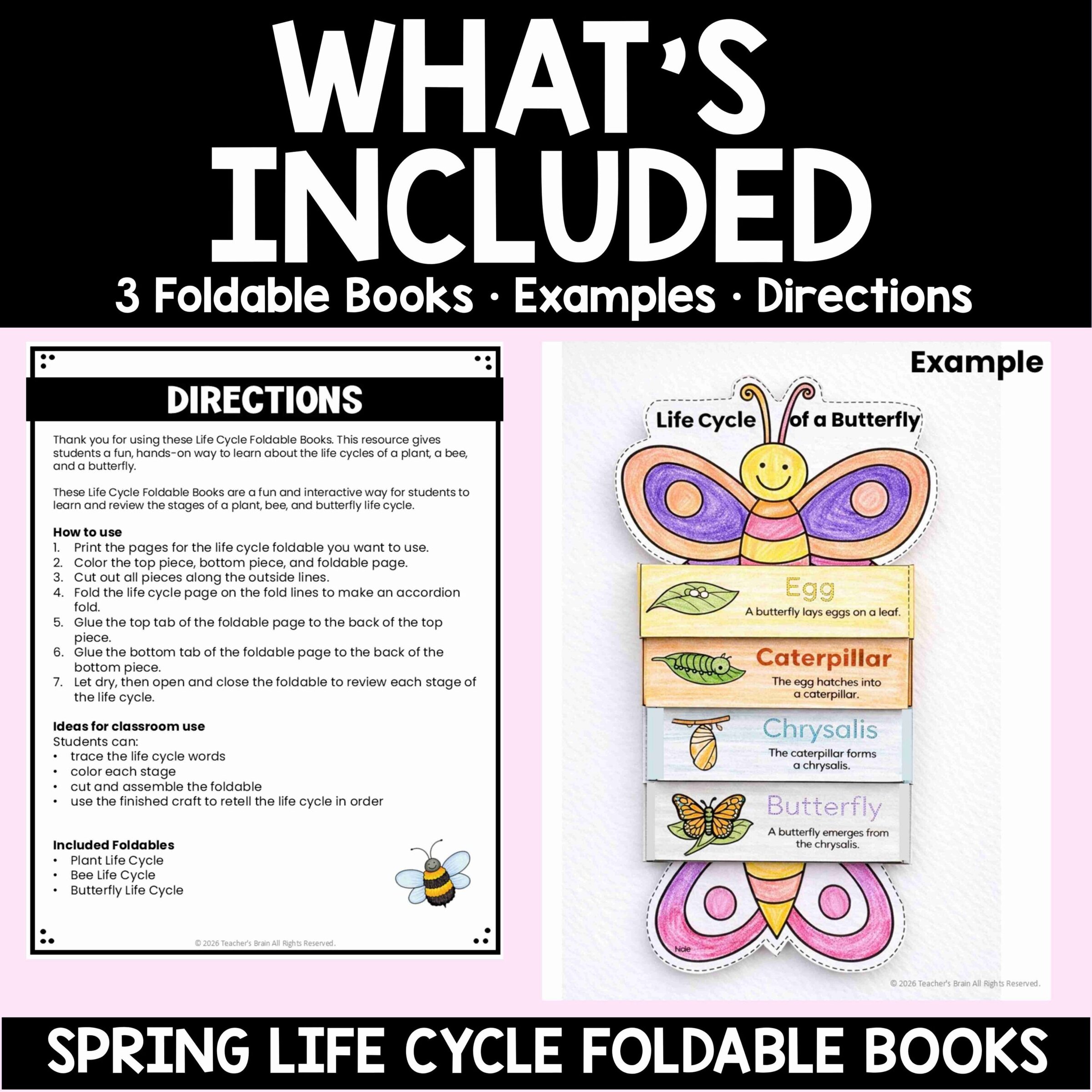 Spring Life Cycle Foldable Books | Plant, Bee, Butterfly | K-2 Science ...