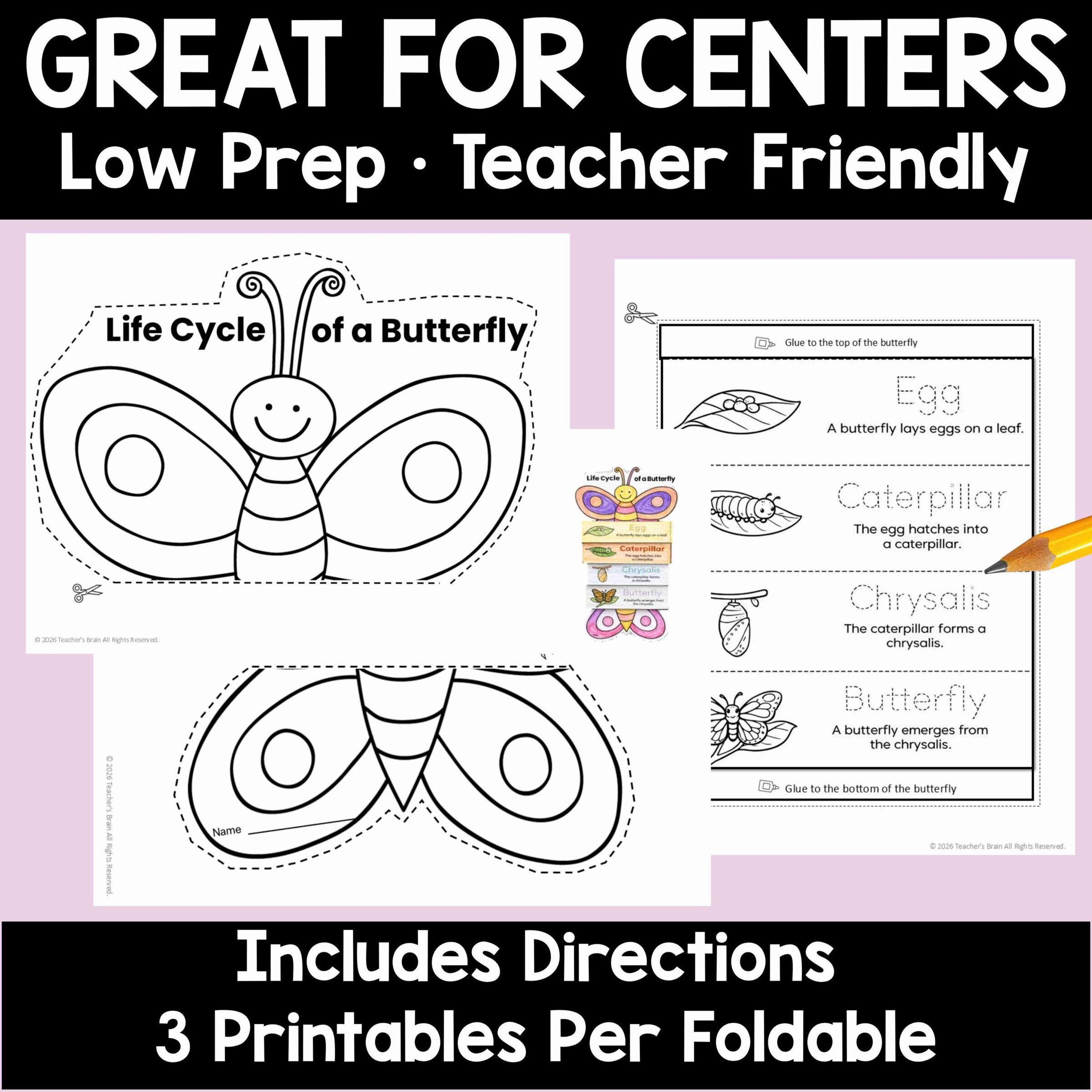 Spring Life Cycle Foldable Books | Plant, Bee, Butterfly | K-2 Science ...